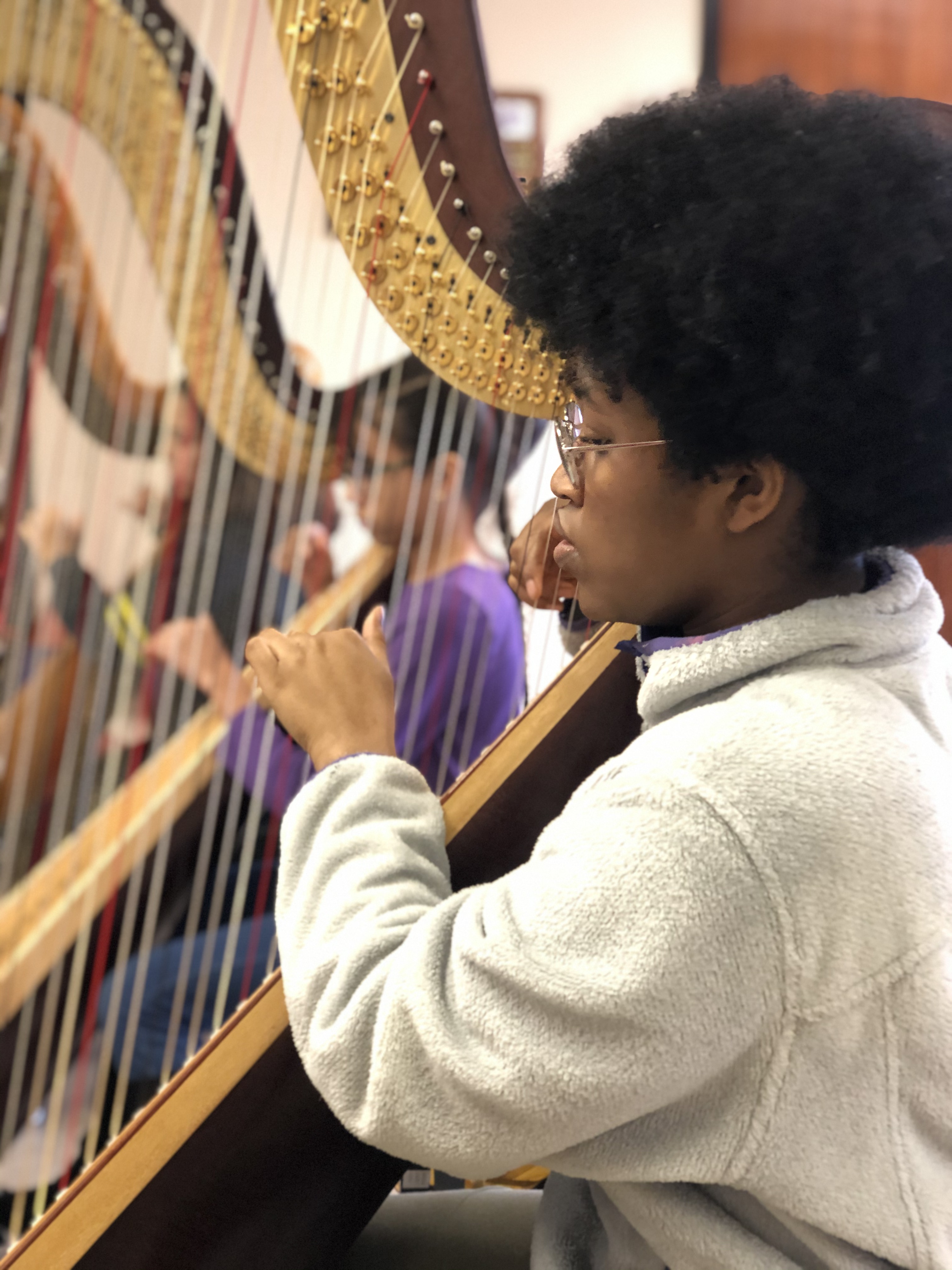 FAQ – Houston Youth Harp Ensemble